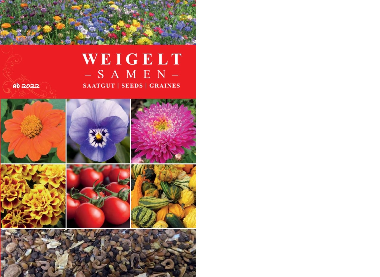 Weigelt Samen - Saatgut von Blumen und Blumenmischungen über ...